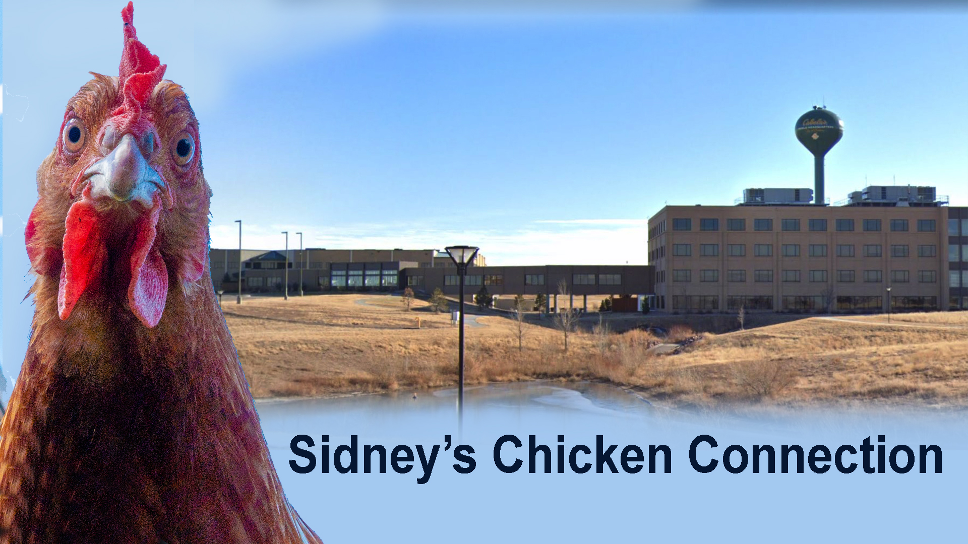 The Chicken Connection – Bring Back Sidney